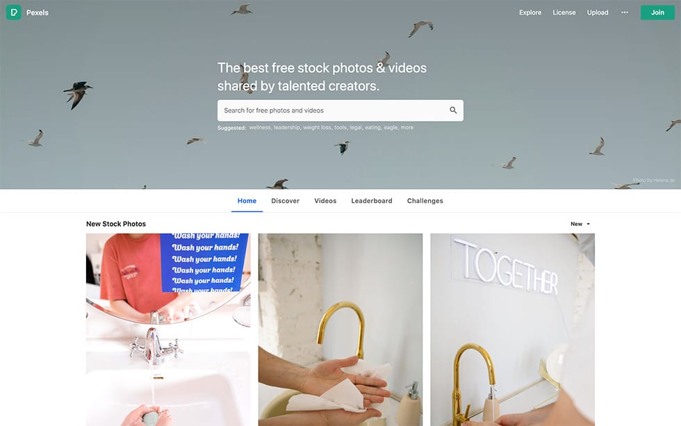 Top 10 Best Free Shutterstock Alternatives For High-Quality Images